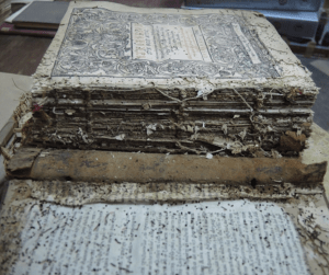 Trick or treat! Mwahahaaaaaa…. | The Book & Paper Gathering