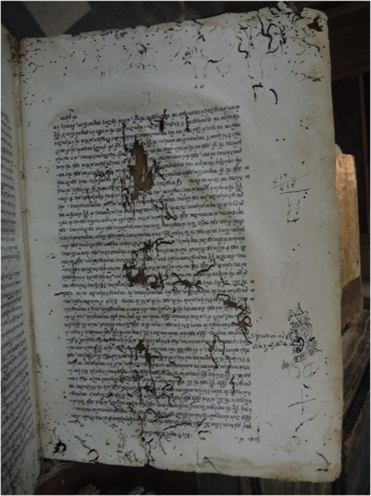 Trick or treat! Mwahahaaaaaa…. | The Book & Paper Gathering