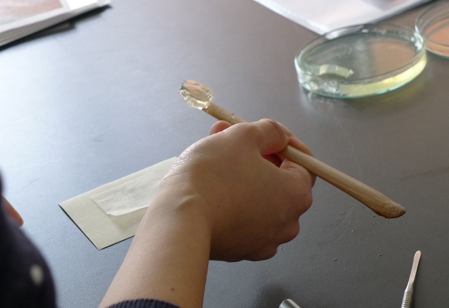 ‘Adhesives for Parchment Treatment’ | The Book & Paper Gathering