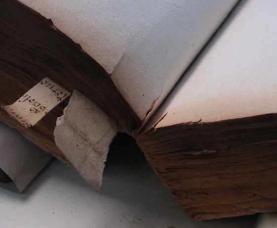 A mid-16th-century tacketed parchment binding: The first minute book of ...