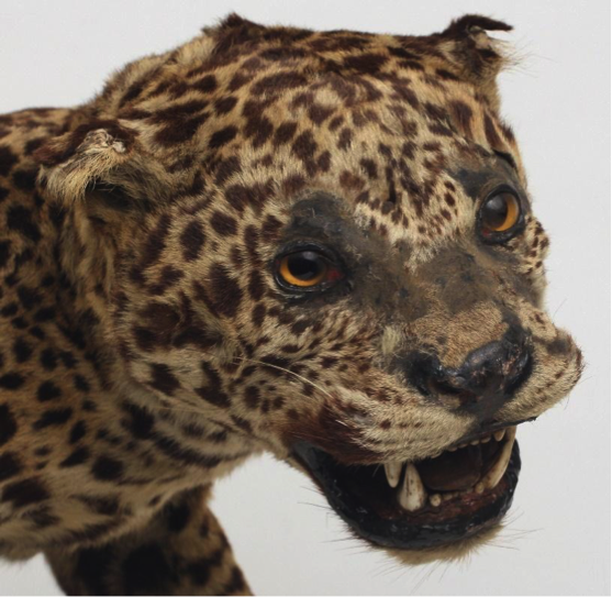 Conserving with Japanese tissue: beyond books and paper, Part 2 | The ...