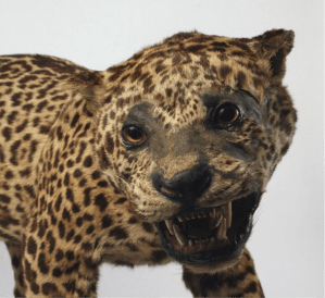 Conserving with Japanese tissue: beyond books and paper, Part 2 | The ...