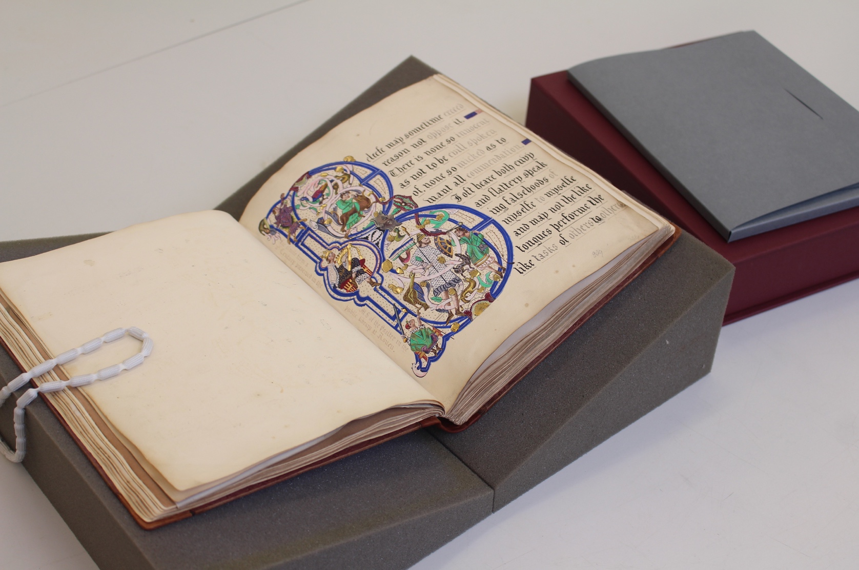 Elizabeth Anne Galton, a talented amateur: the conservation of an early ...