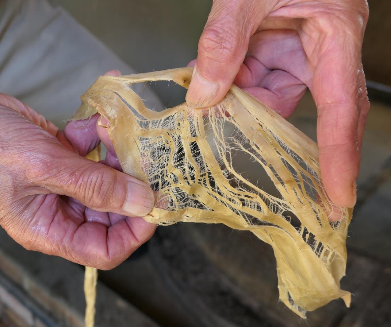 image | The Book & Paper Gathering